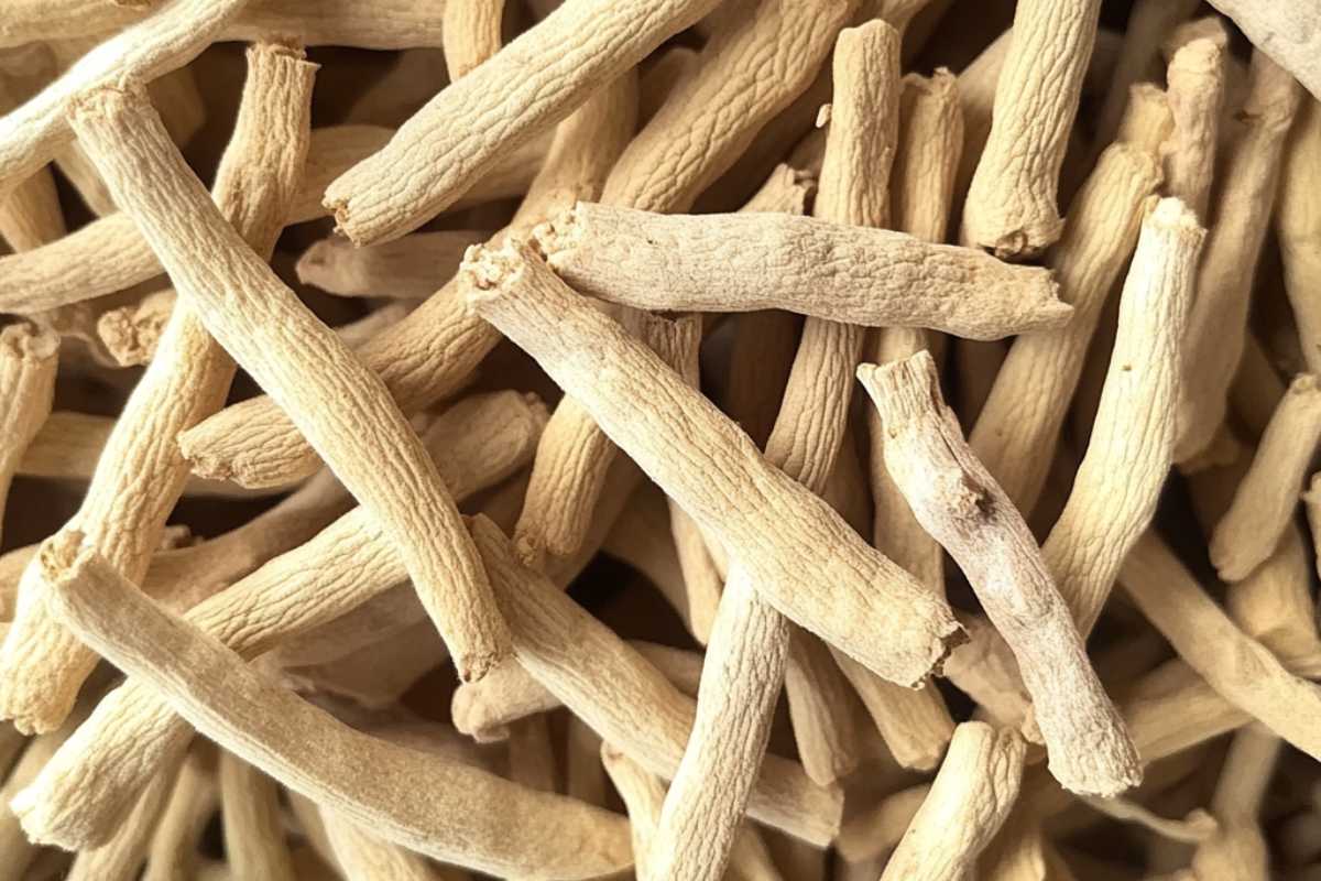 Discover The Surprising Health Benefits Of Ashwagandha Discover The Surprising Health Benefits Of Ashwagandha